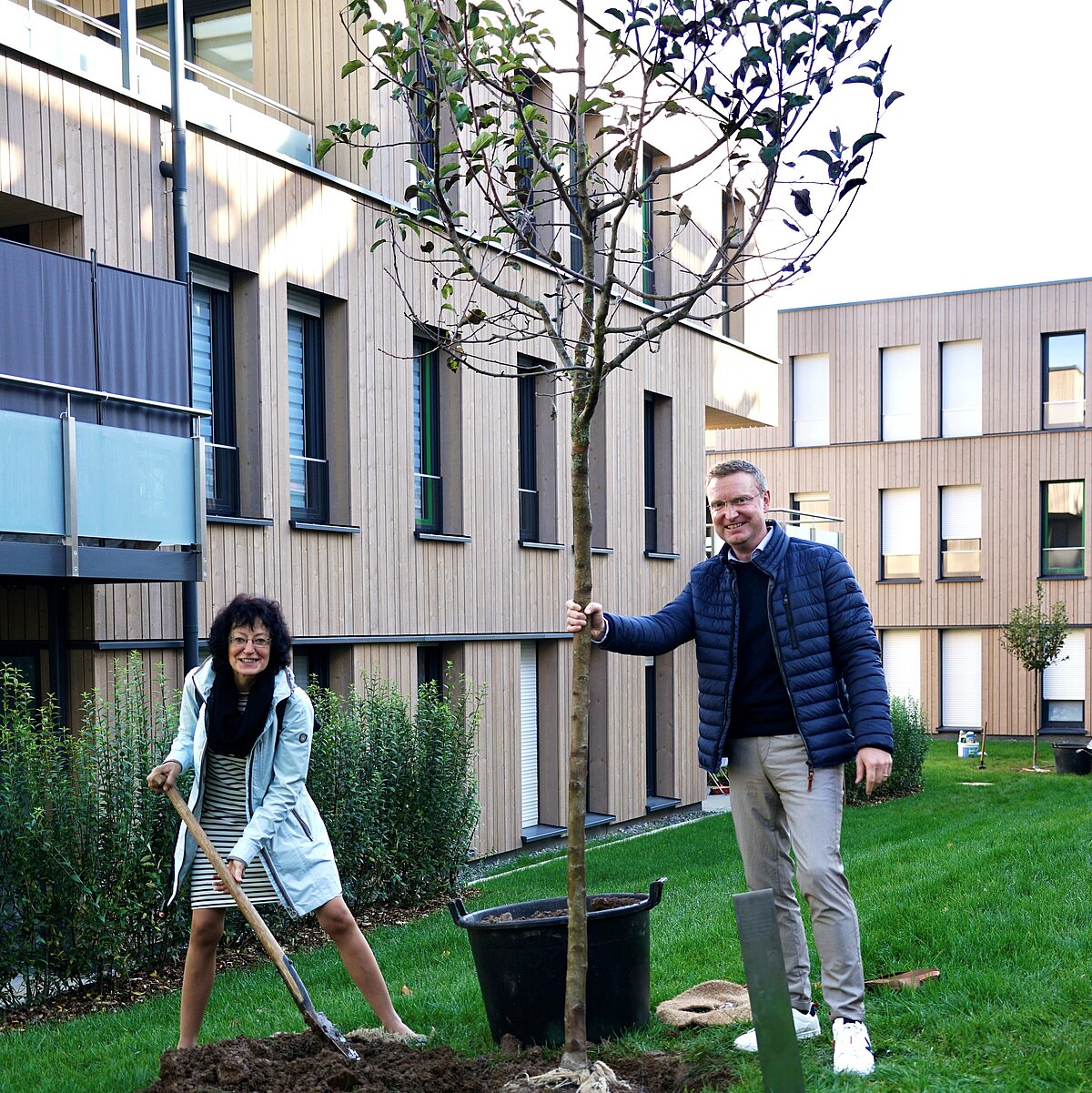 Der erste Baum im LuisenQuartier ist gepflanzt